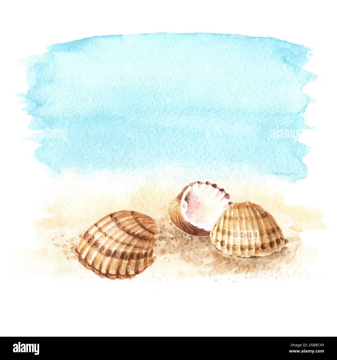 Seashells on the sand on the background of the sea with copy space ...