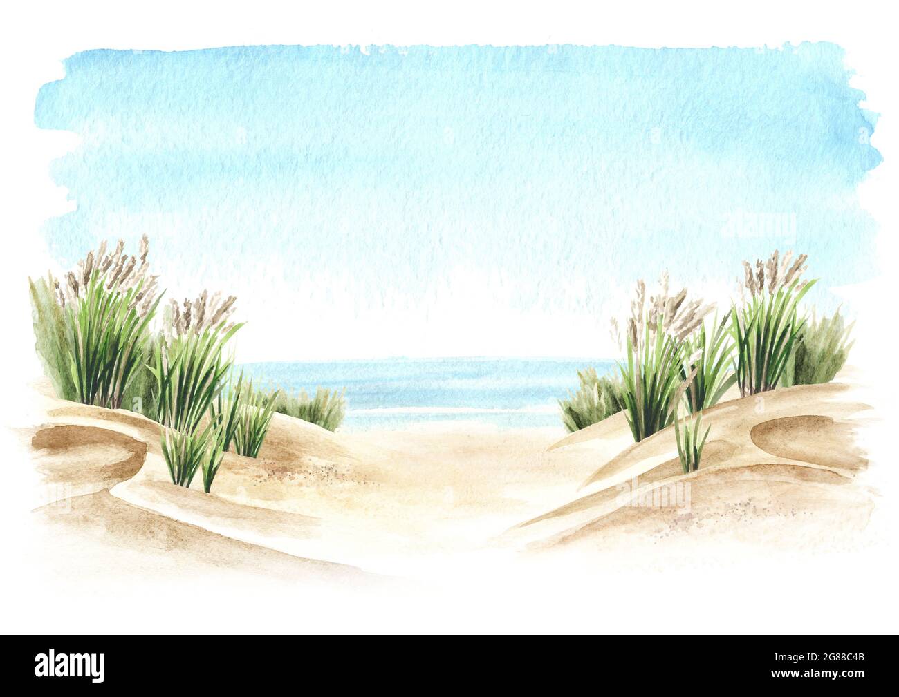 Coastal Dune Sea Grass Beach On The Background Of The Sea With Copy Space Hand Drawn