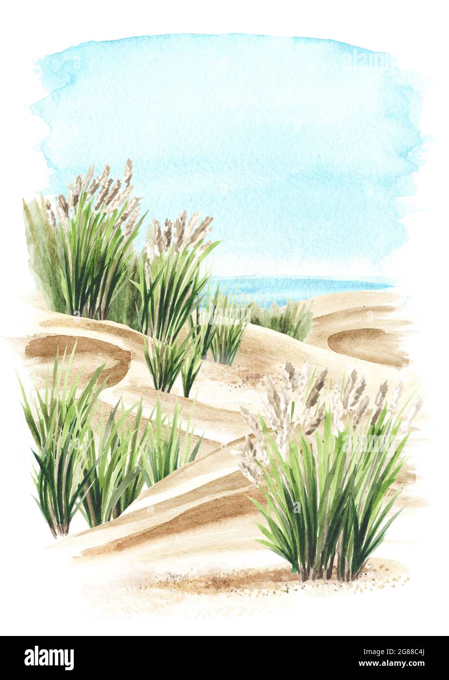 Coastal dune, sea grass, beach on the background of the sea. Hand drawn ...