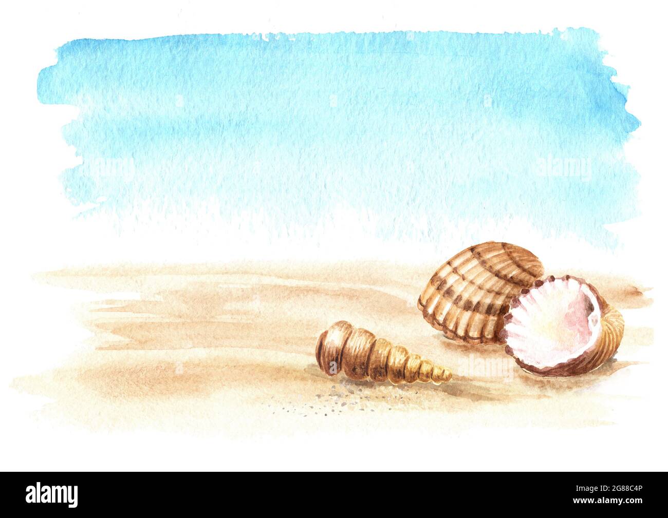 Seashells on the sand on the background of the sea with copy space ...