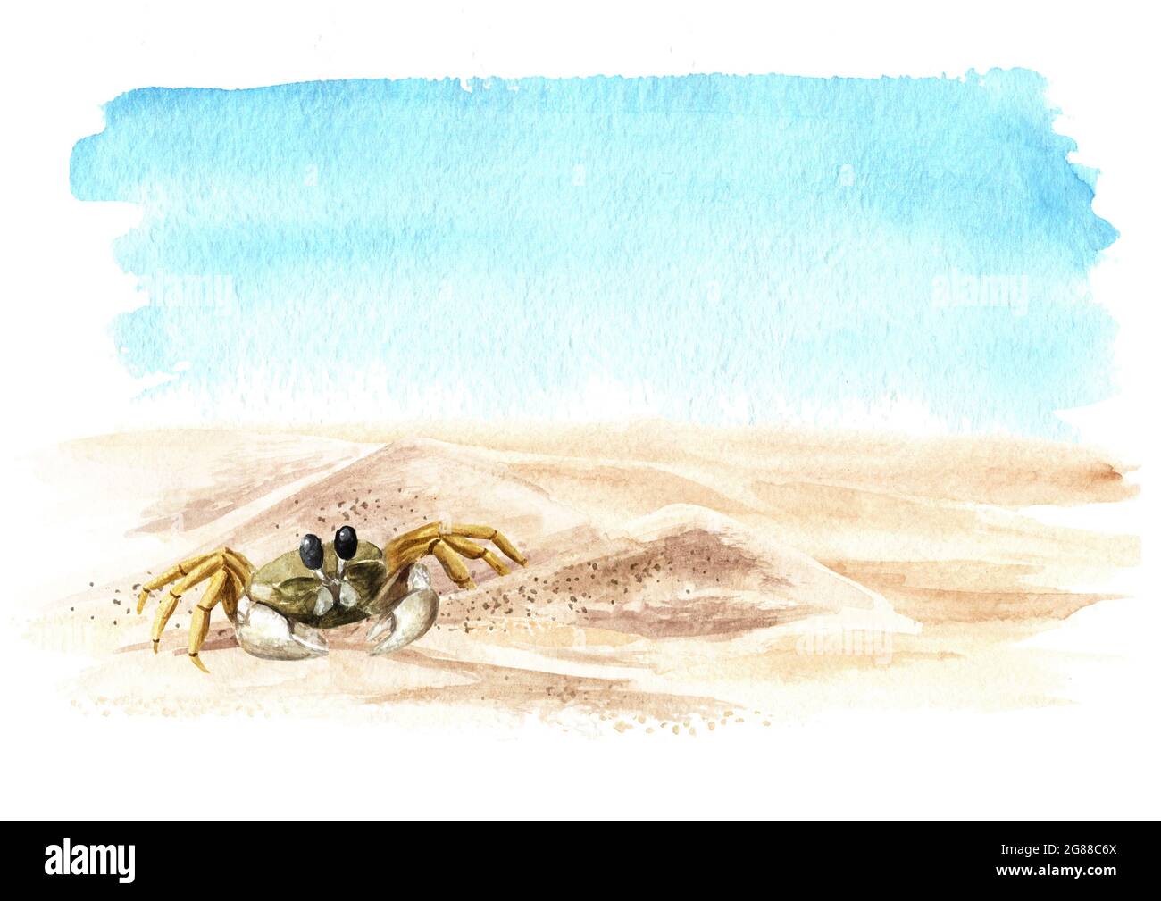 Small sea crab on the beach sand on the background of the sea with copy ...