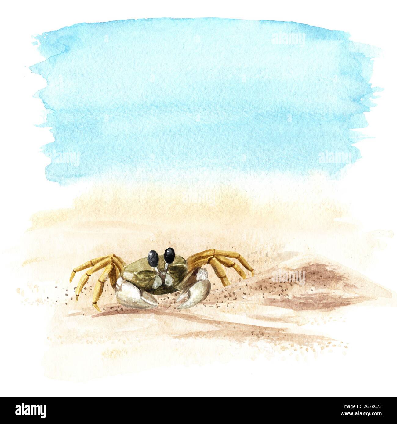 Small sea crab on the beach sand on the background of the sea with copy ...