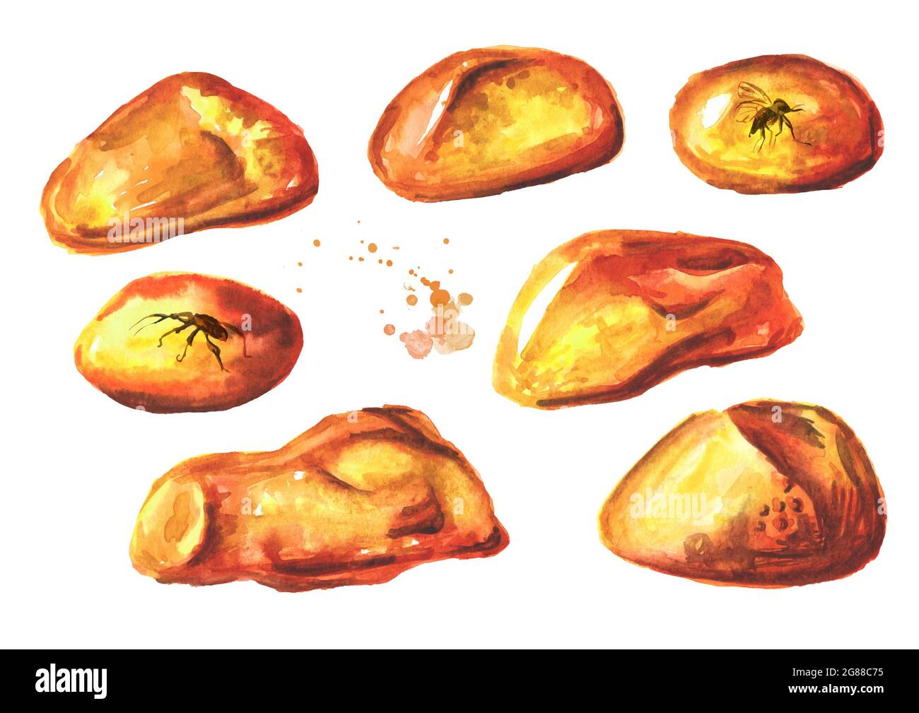 Transparent amber of various shapes set, with insects inside. Petrified ...