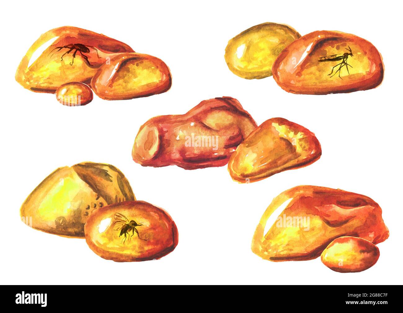 Transparent amber with insects inside set. Hand drawn watercolor ...