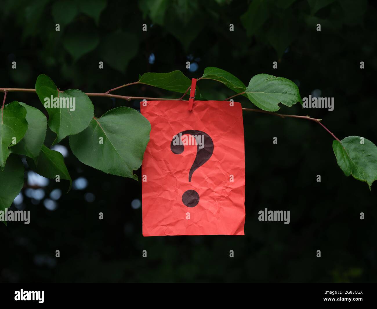 Question mark tree hi-res stock photography and images - Alamy