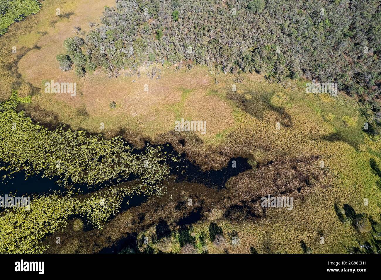 Aerial abstract landscape pattern featuring wetlands and bushland in ...