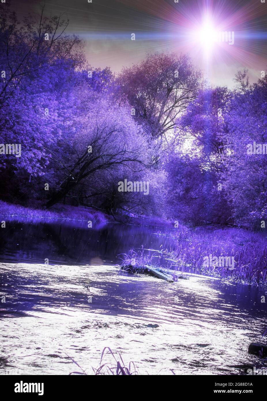 Abstract purple forest and a small river, a fantasy landscape Stock ...