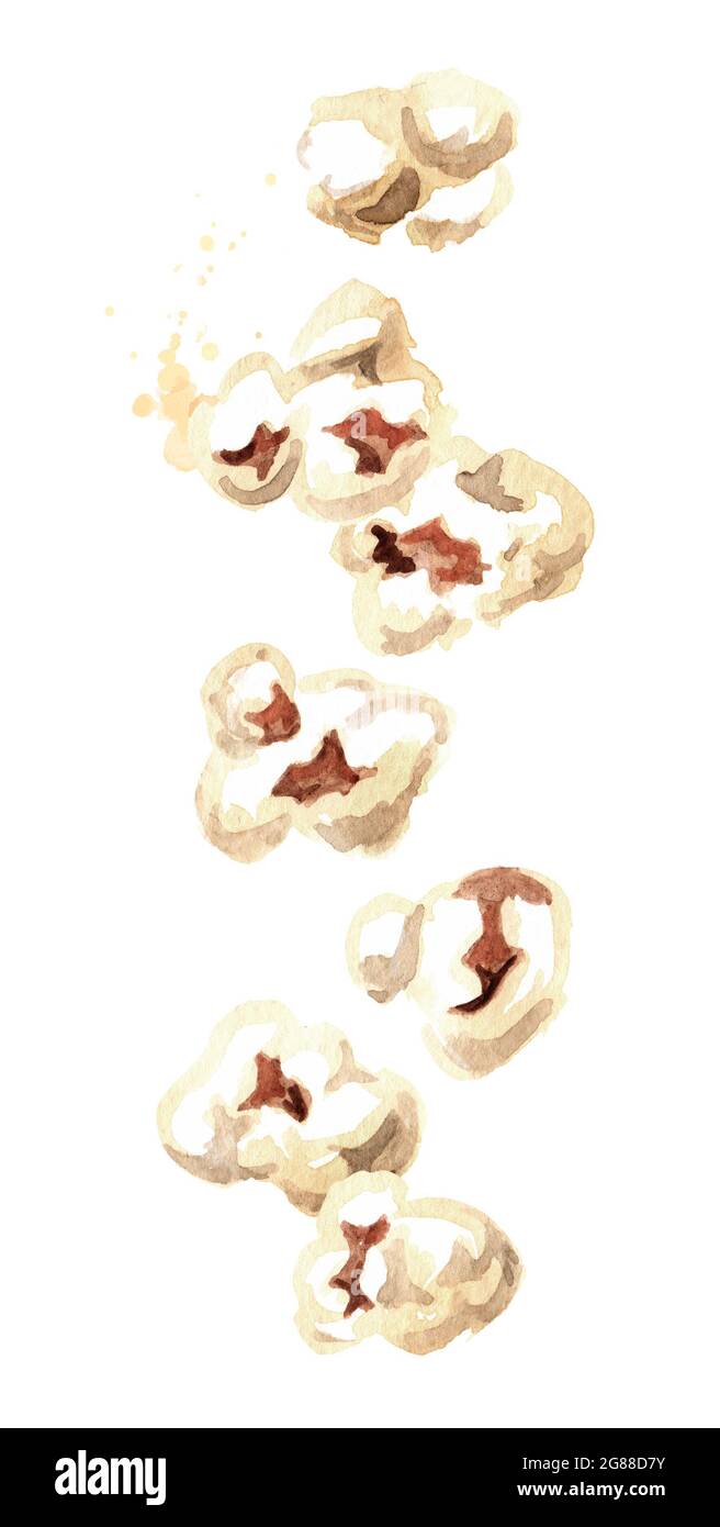 Falling popcorn. Hand drawn watercolor illustration isolated on white ...