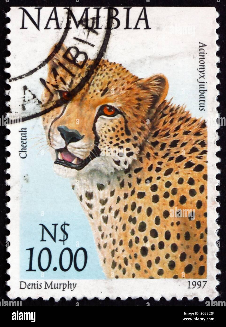 NAMIBIA - CIRCA 1997: a stamp printed in Namibia shows cheetah ...