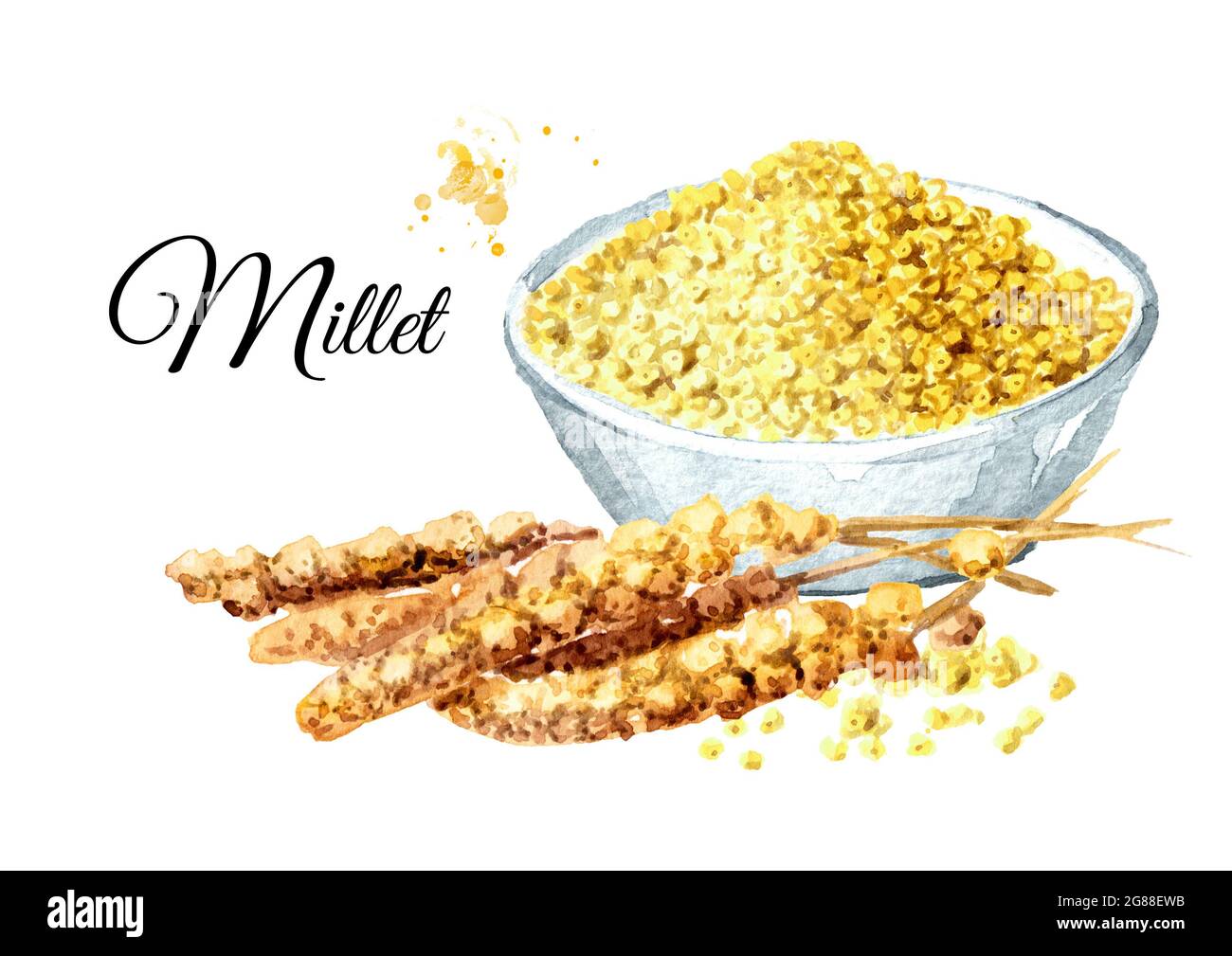 bowl with Dry millet and with ears of millet. Grain millet. Hand drawn ...