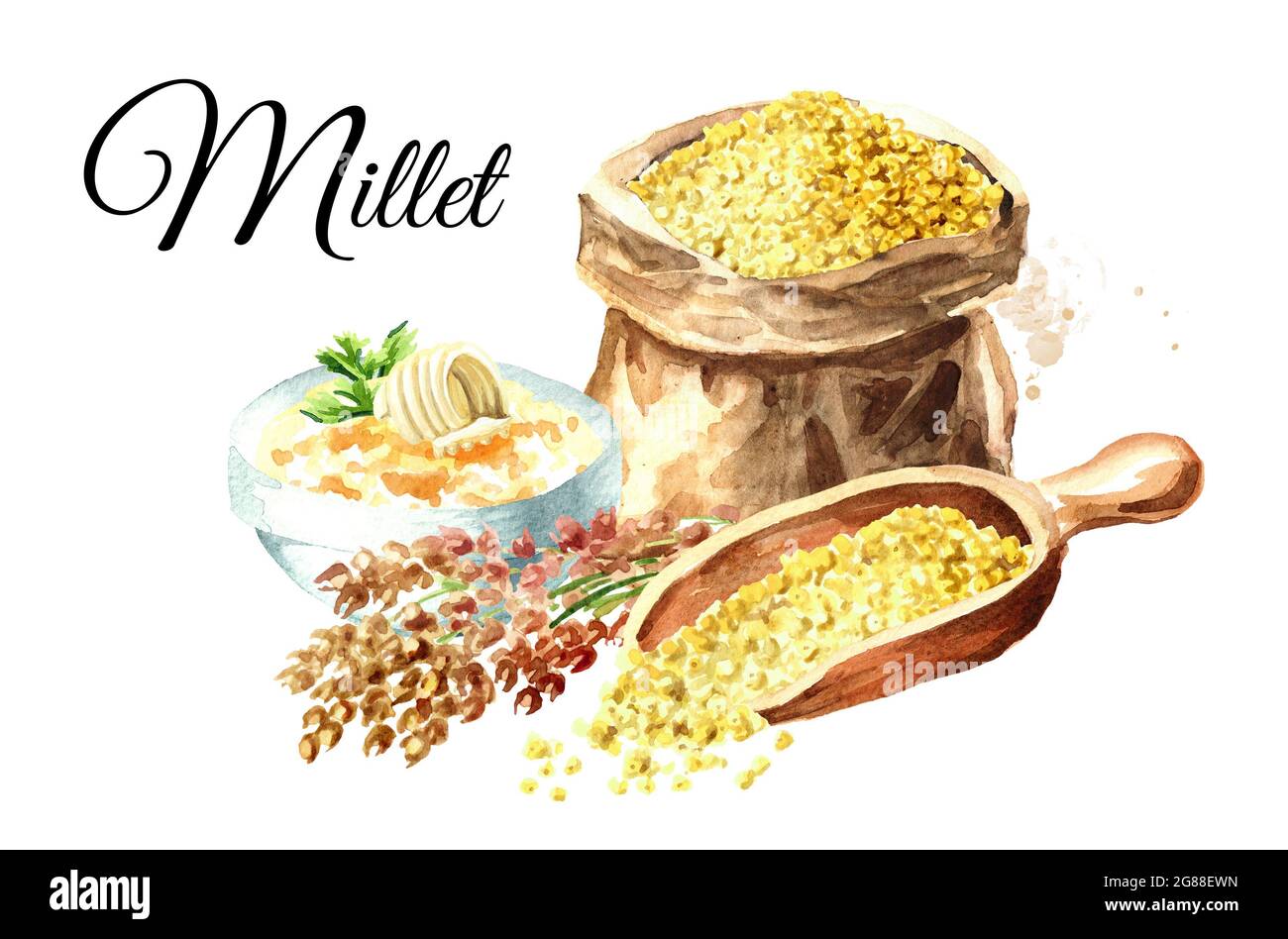 Millet grains Cut Out Stock Images & Pictures - Alamy