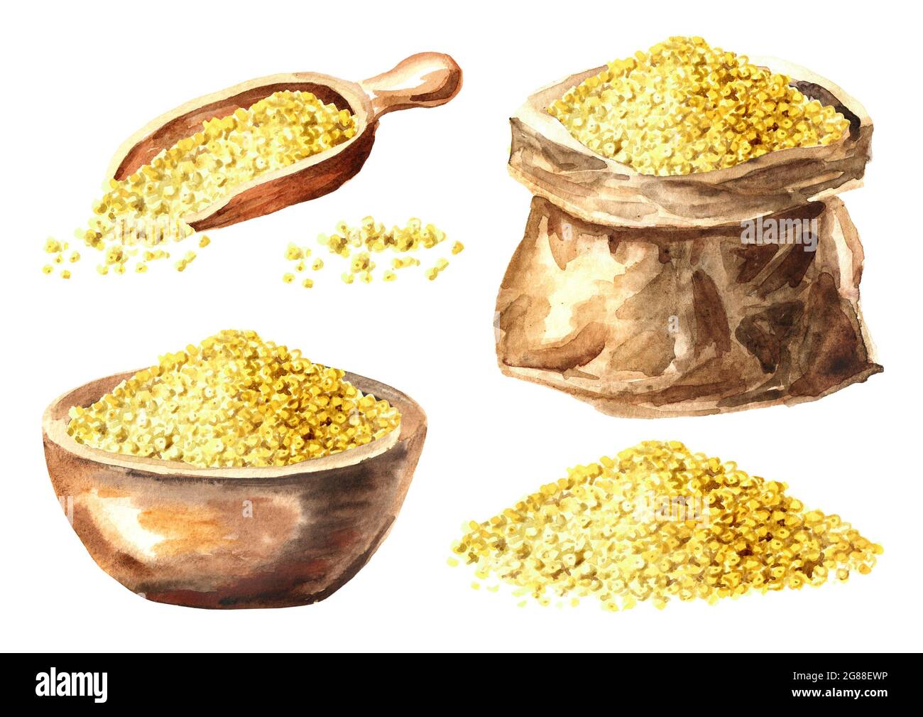 Dry millet grains set. Hand drawn watercolor illustration, isolated on ...