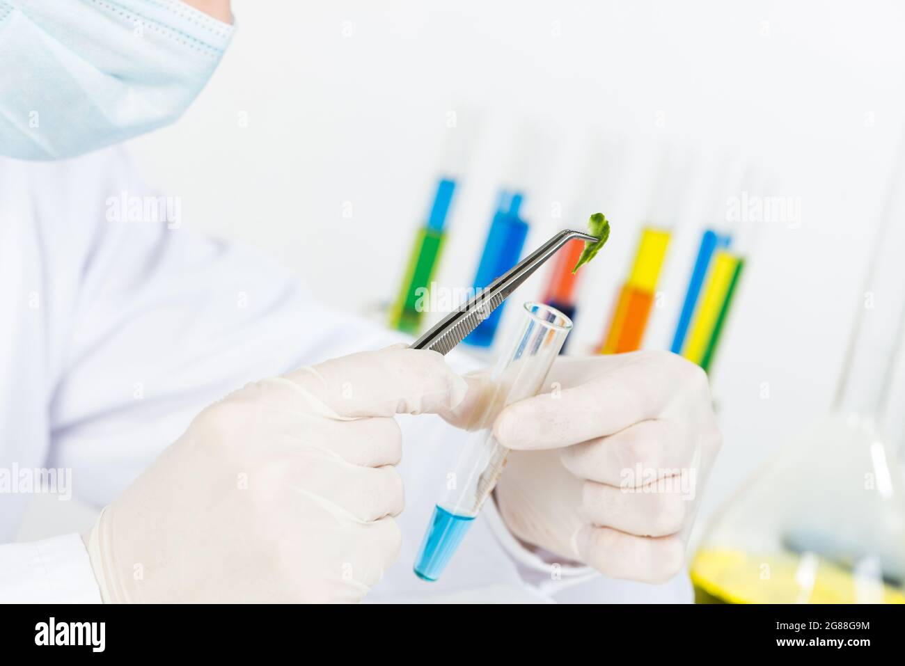 Scientist puts sample into test tube Stock Photo - Alamy