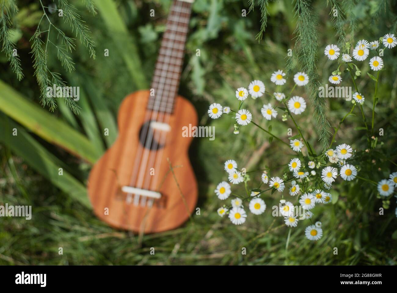 Ukulele in wild flowers, summer photo of a ukulele Stock Photo - Alamy