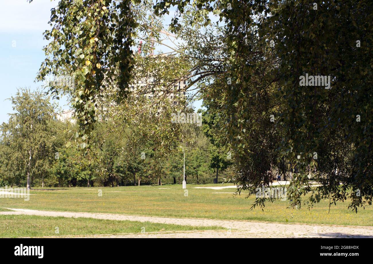 path in park at dry sunny summer day Stock Photo - Alamy