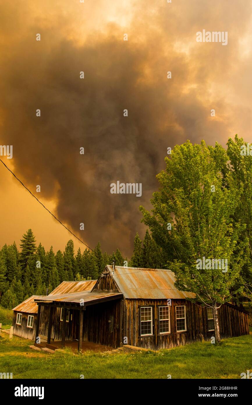 Smoke billows from the Tamarack fire. The Tamarack fire continues to ...