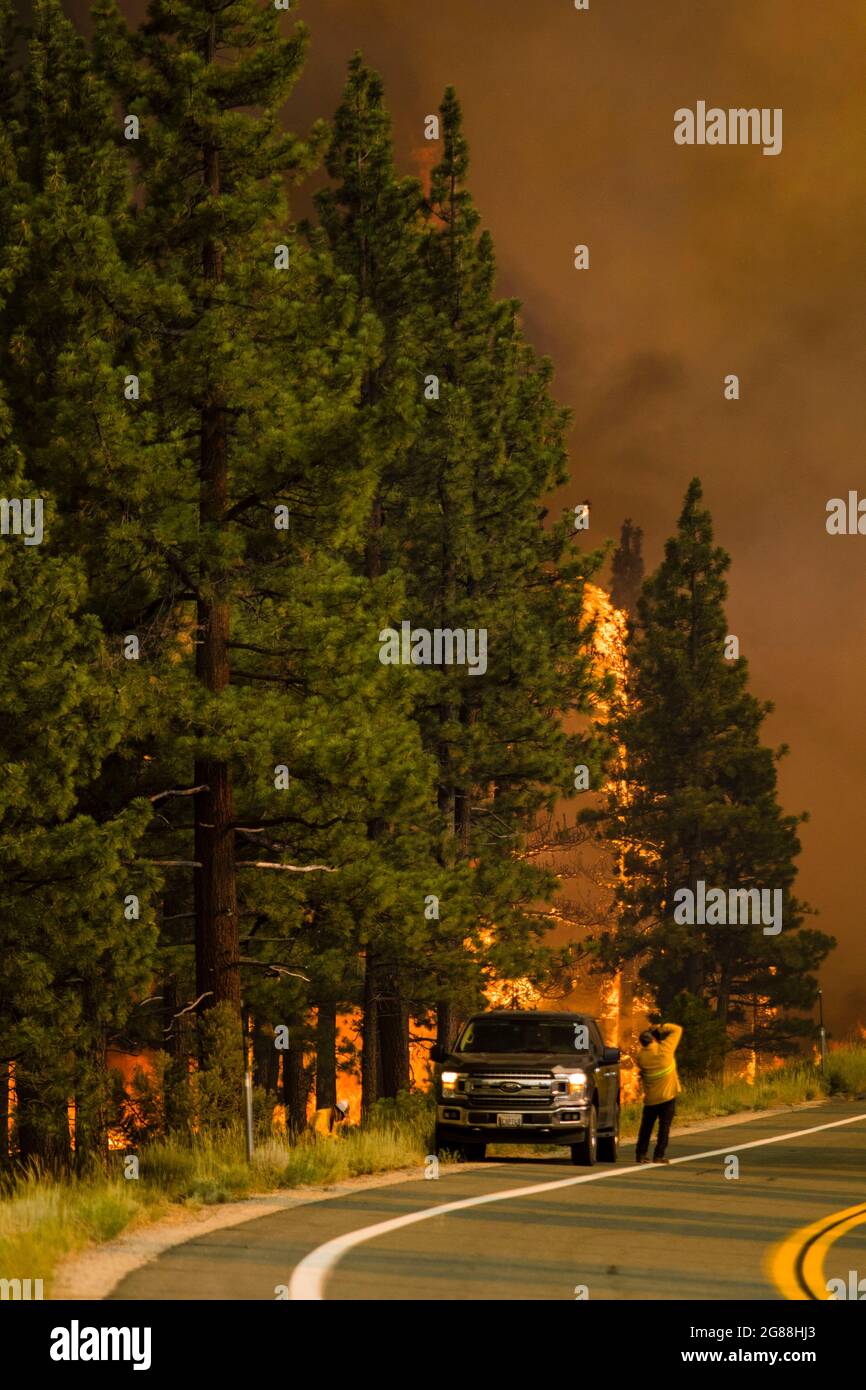 The Tamarack fire burns along the road.The Tamarack fire continues to ... The Tamarack fire burns along the road.The Tamarack fire continues to ...