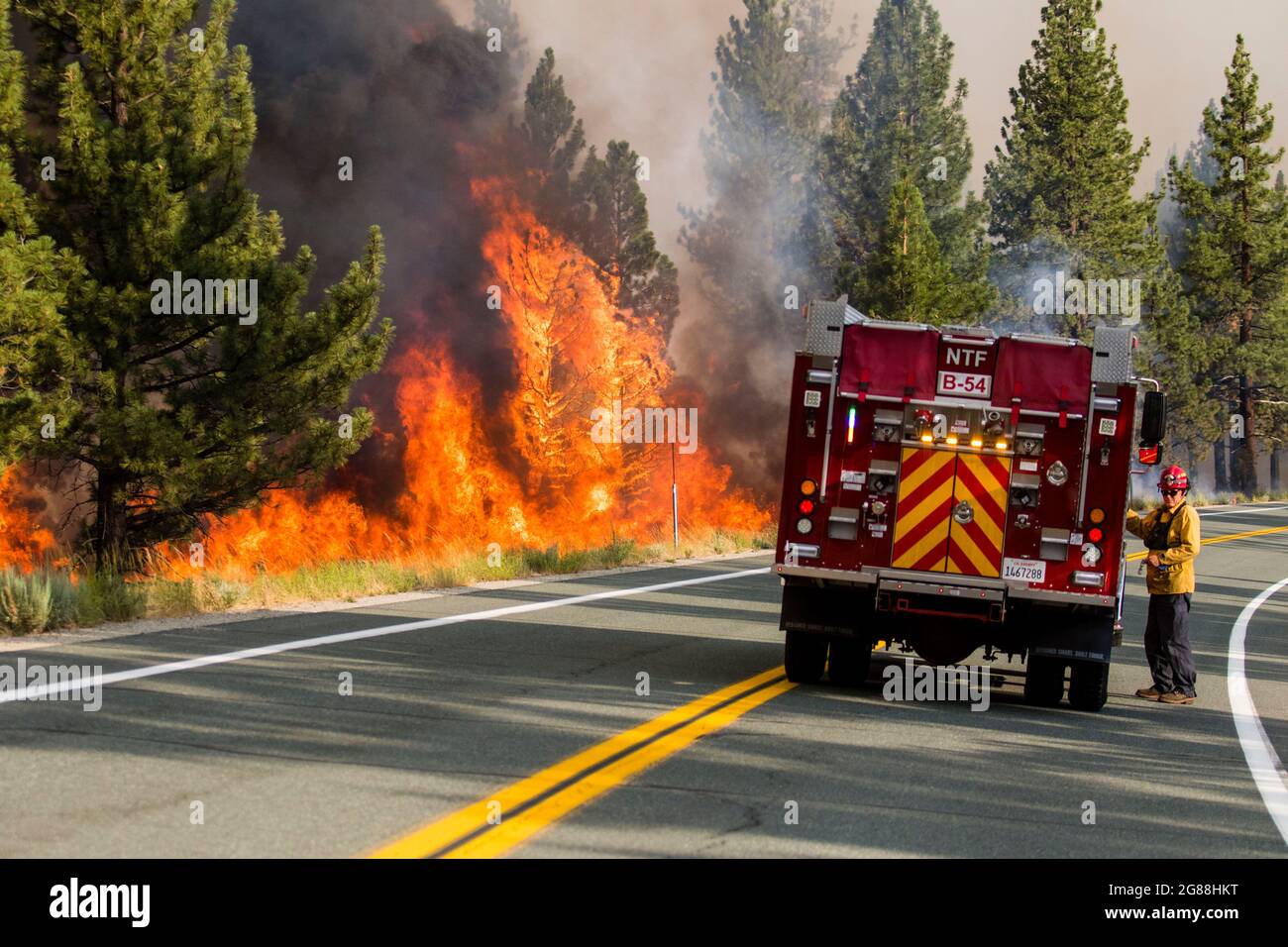 The Tamarack fire burns along the road.The Tamarack fire continues to ... The Tamarack fire burns along the road.The Tamarack fire continues to ...