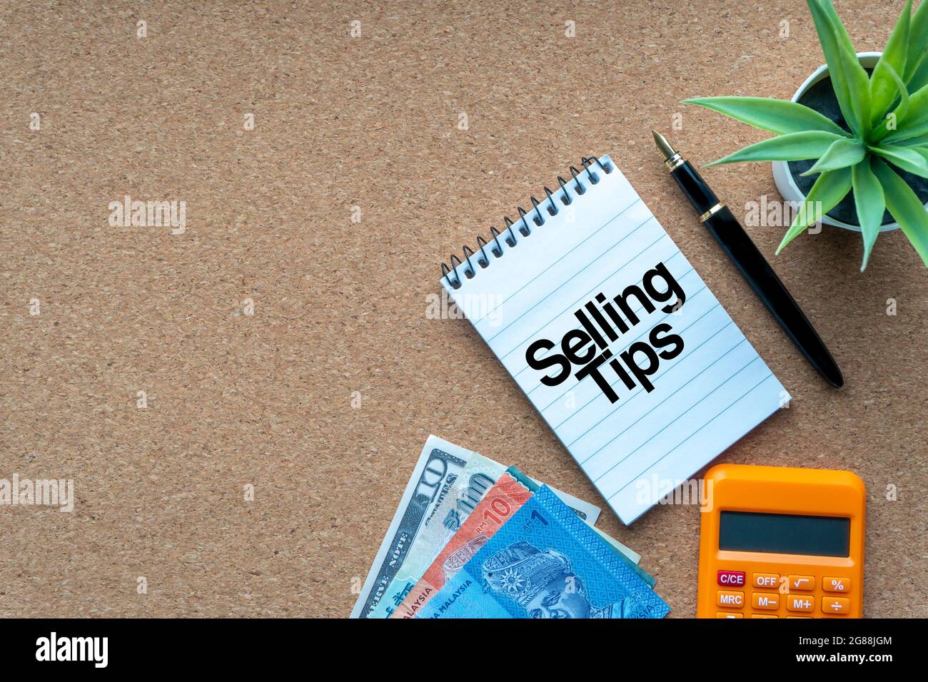 SELLING TIPS text with notepad, calculator, decorative plant, money ...