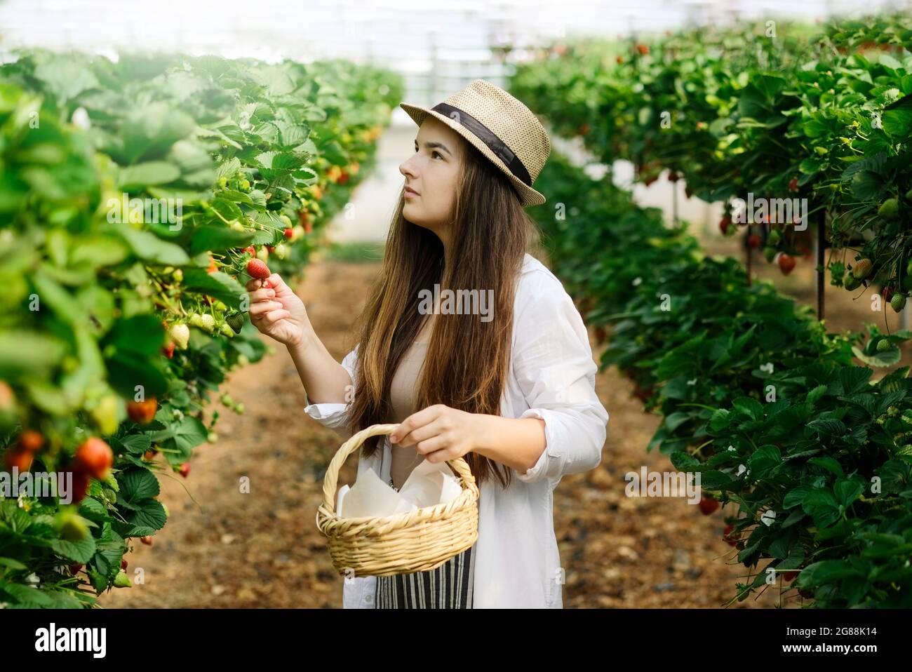 Vertical farm hi-res stock photography and images - Alamy