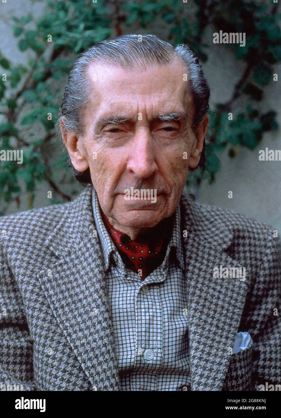 Ensayista hi-res stock photography and images - Alamy