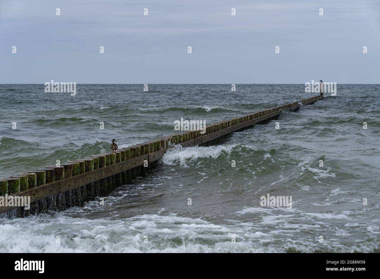 Stormy baltic sea crashing waves hi-res stock photography and images ...