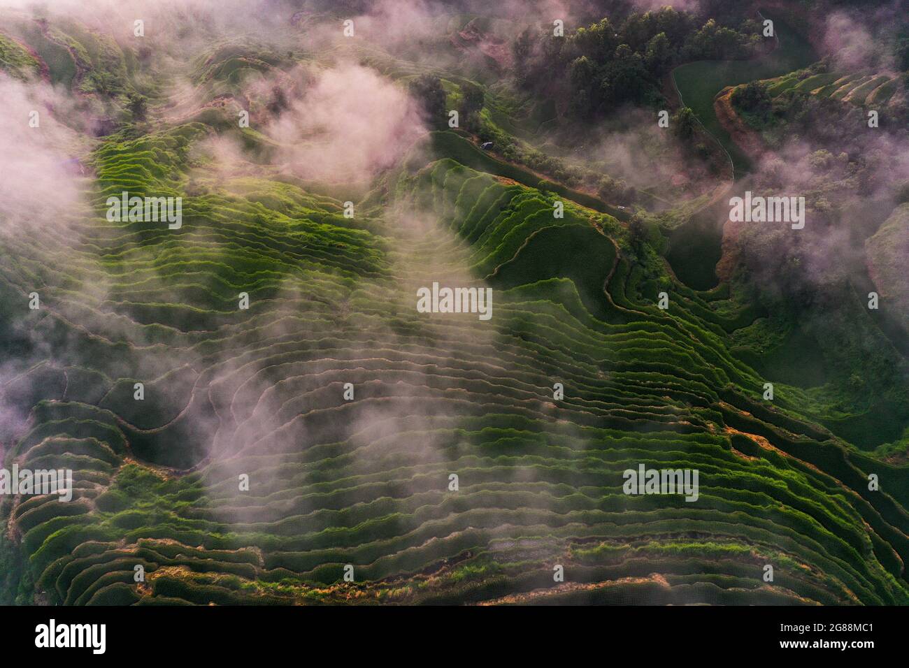 CONGJIANG, CHINA - JULY 18, 2021 - Aerial view of rice terraces in ...