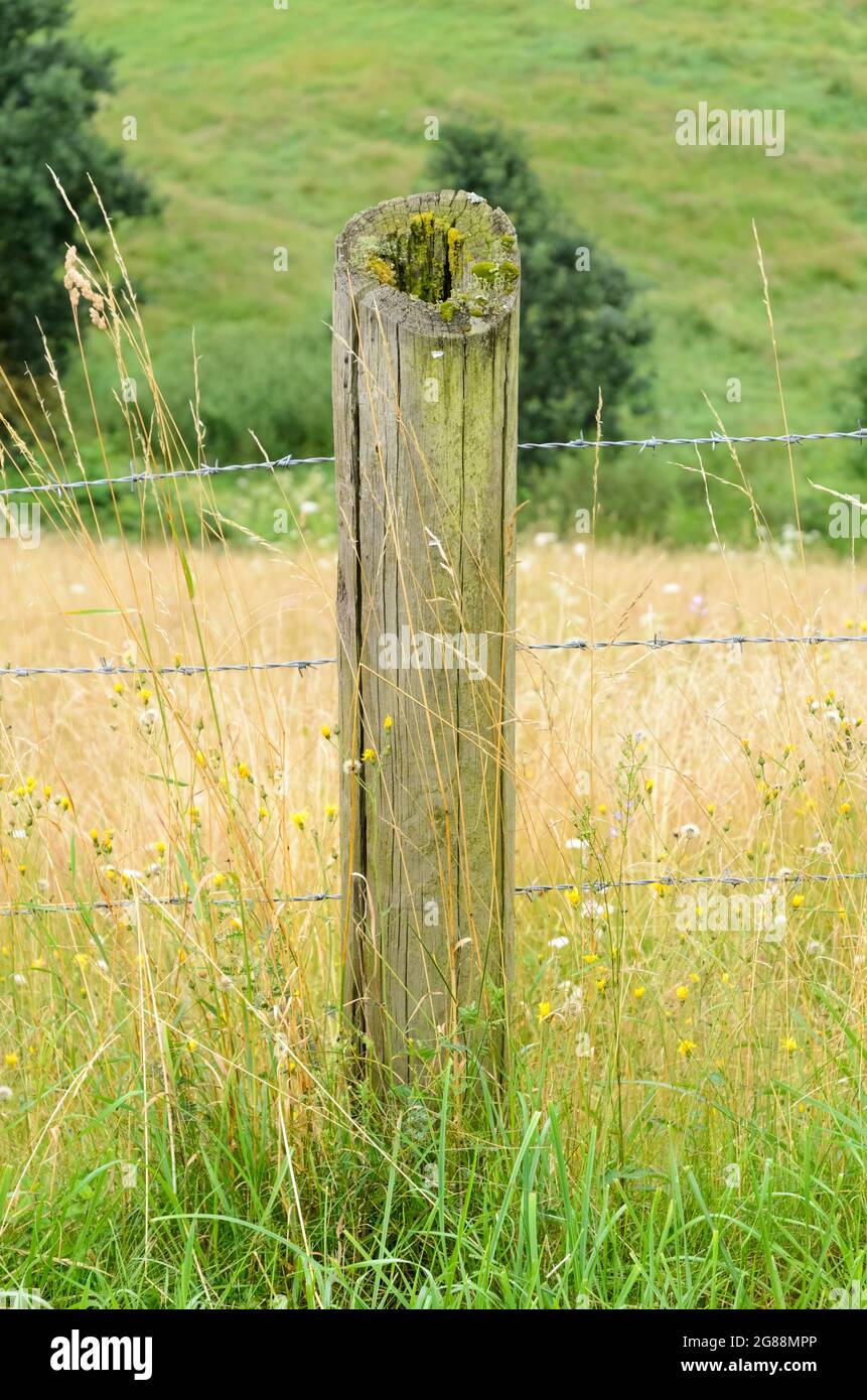 One single fence hi-res stock photography and images - Alamy
