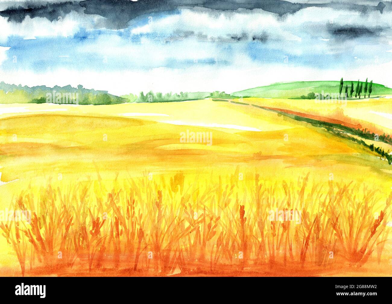 Summer rural landscape. Wheat field. Watercolor hand drawn illustration ...