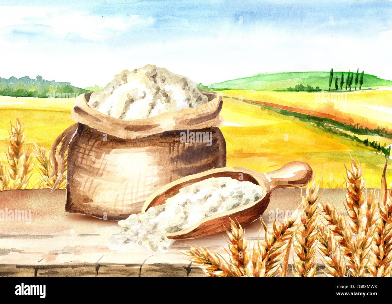 Sack with flour on the background of wheat field. Watercolor hand drawn ...