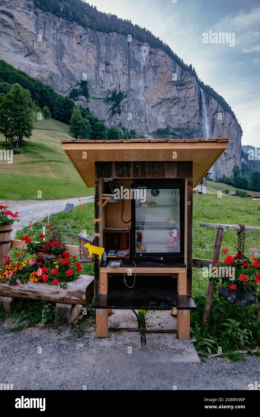 Small Cheese Honesty Stall Vending Machine in a Meadow with Red Flowers ...