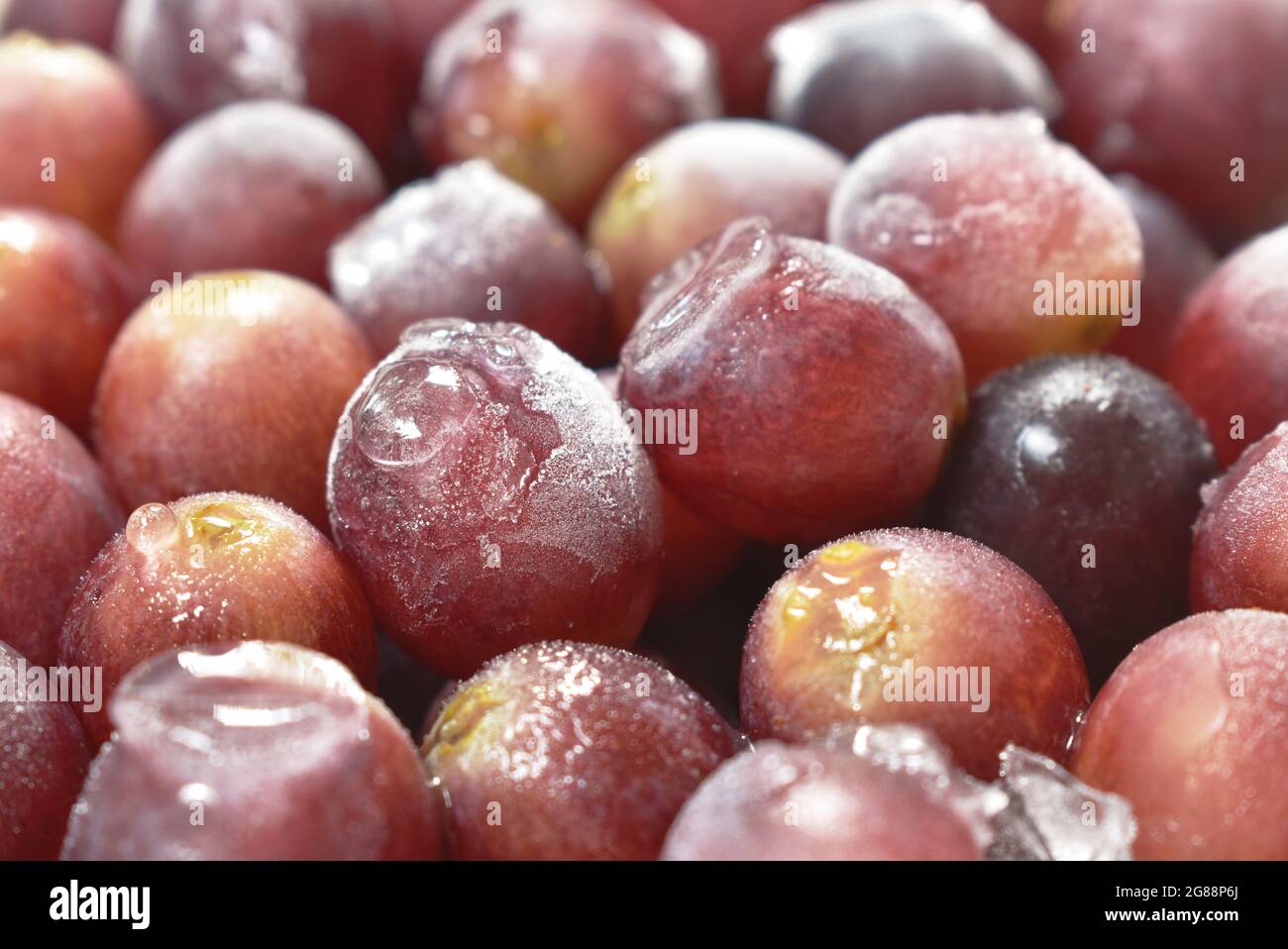 Close up frozen grape hi-res stock photography and images - Alamy