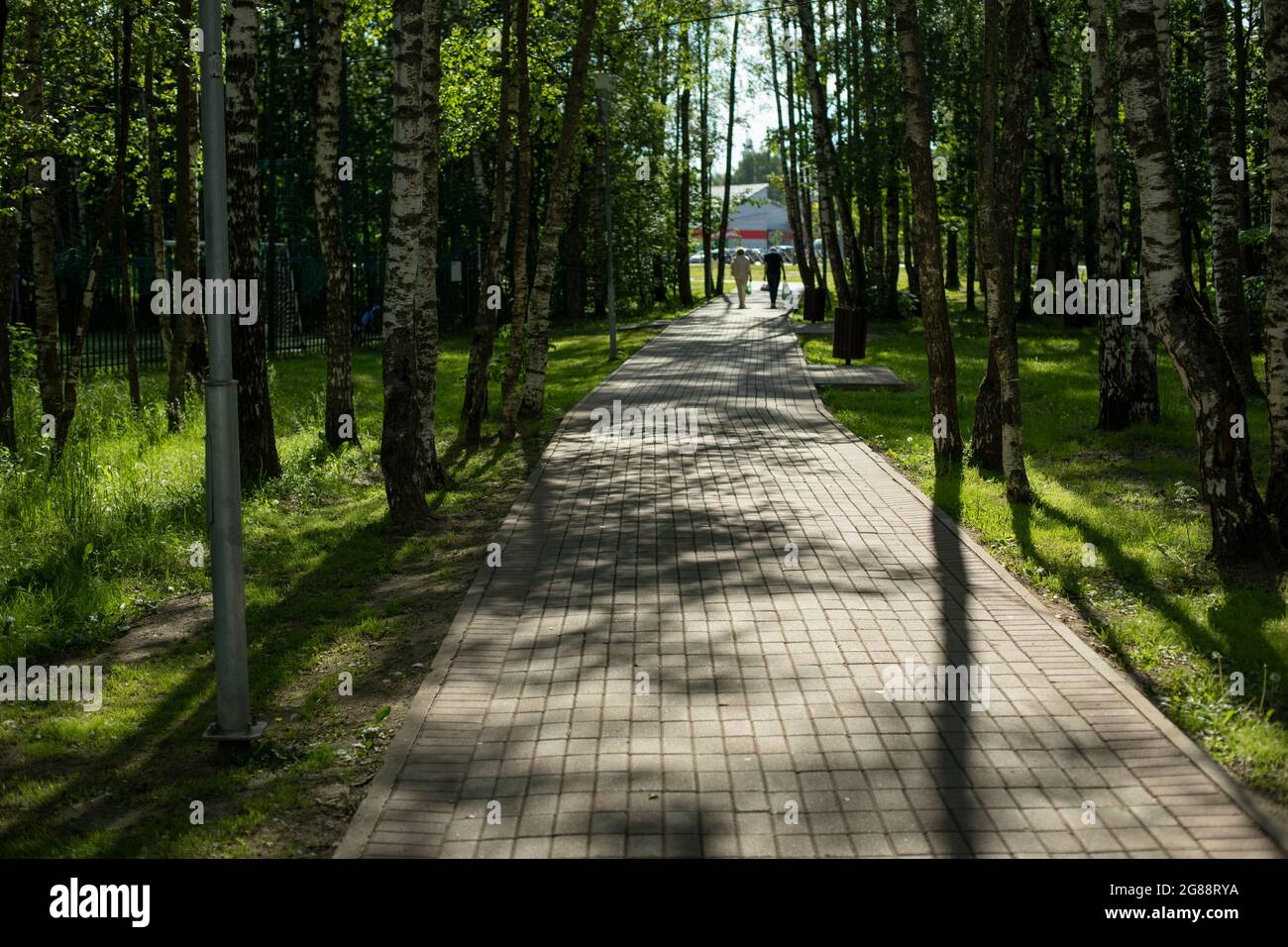 Park path in summer. Tiled road. Place for pedestrians Stock Photo - Alamy