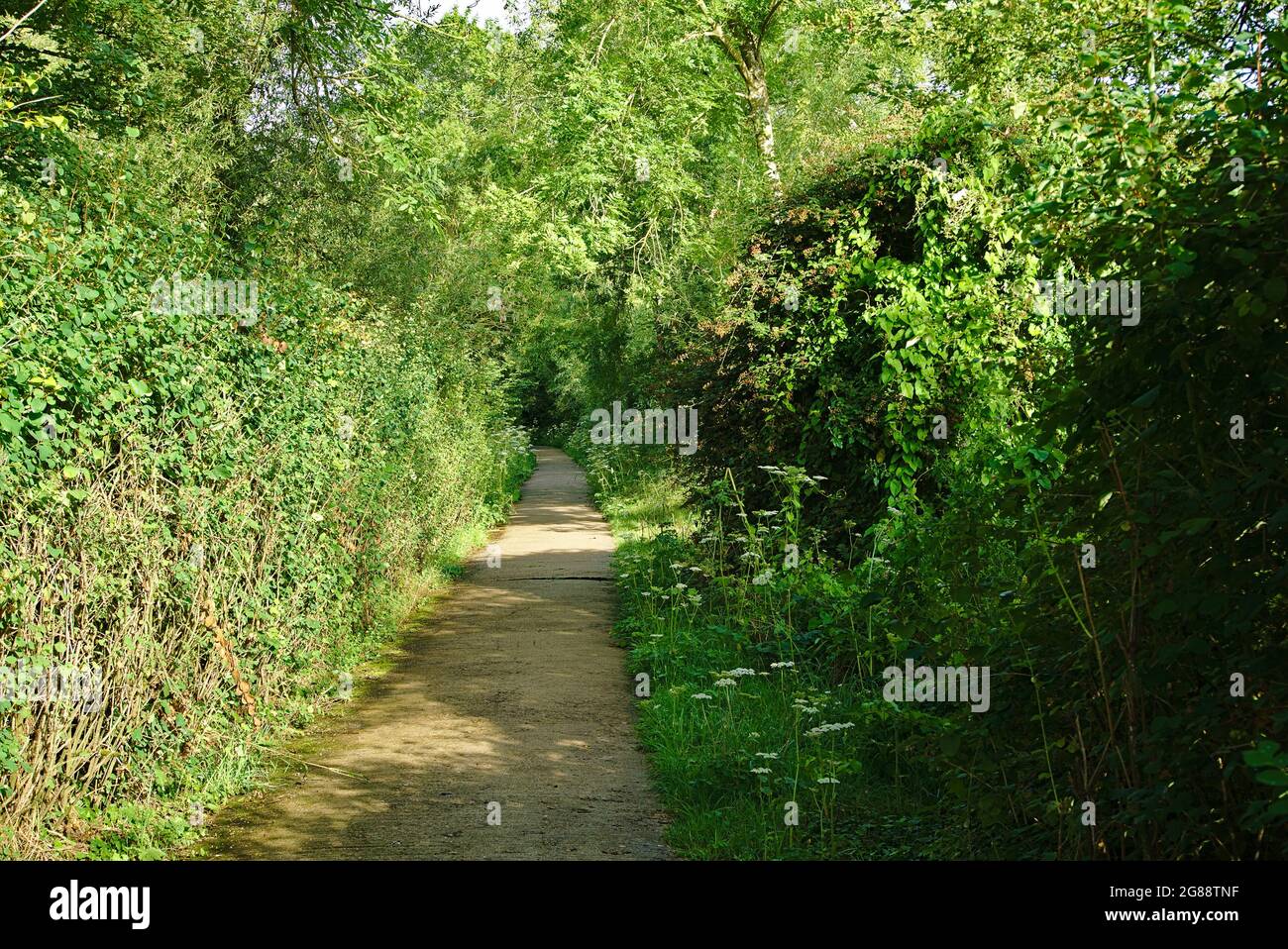 Closeup shot small trail hi-res stock photography and images - Alamy