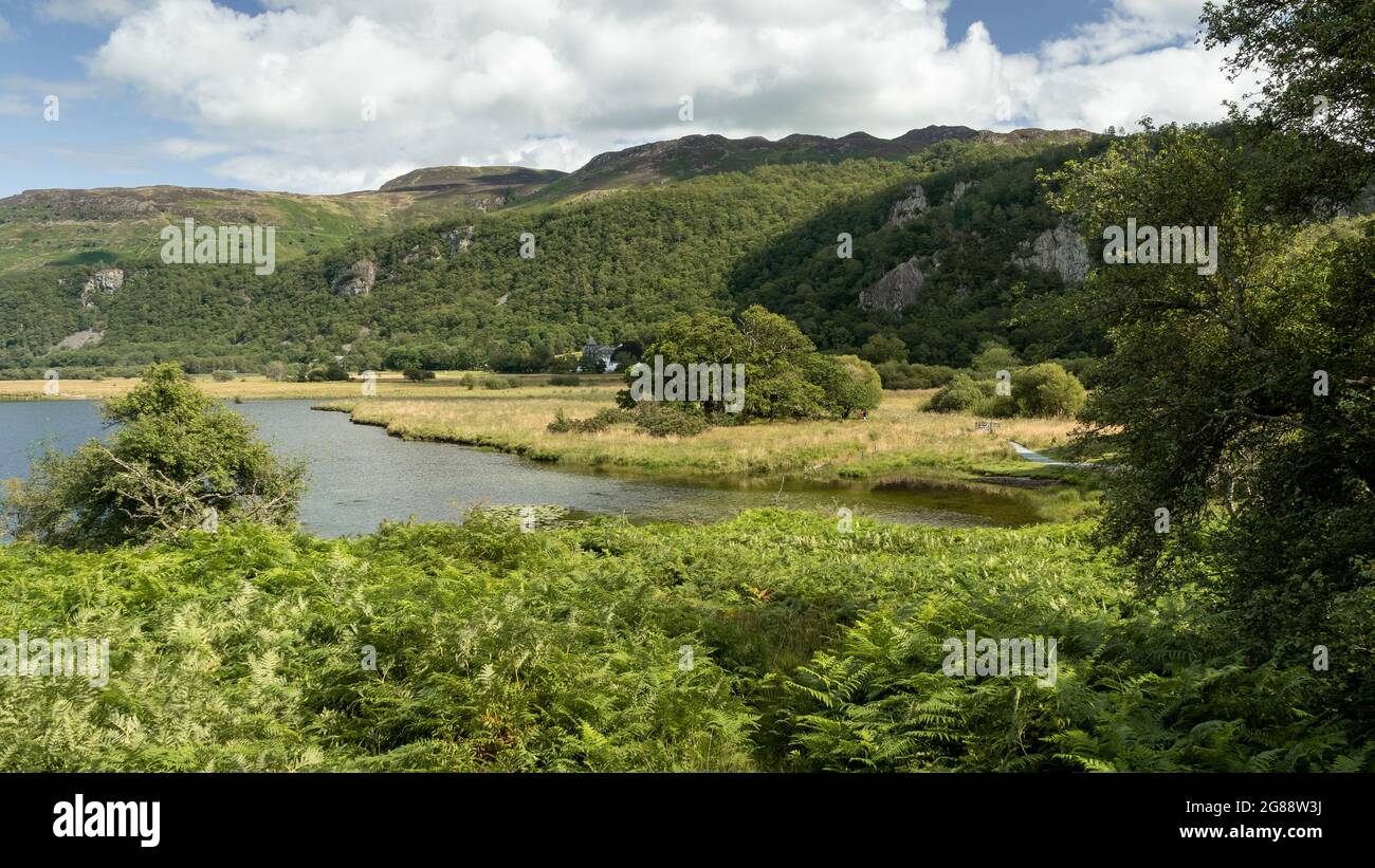 A landscape view of Derwent Water, in the Lake District, UK Stock Photo ...