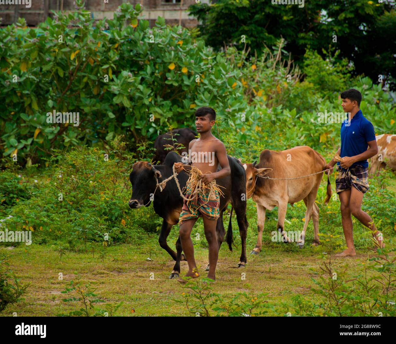 Live stock market Stock Photo - Alamy