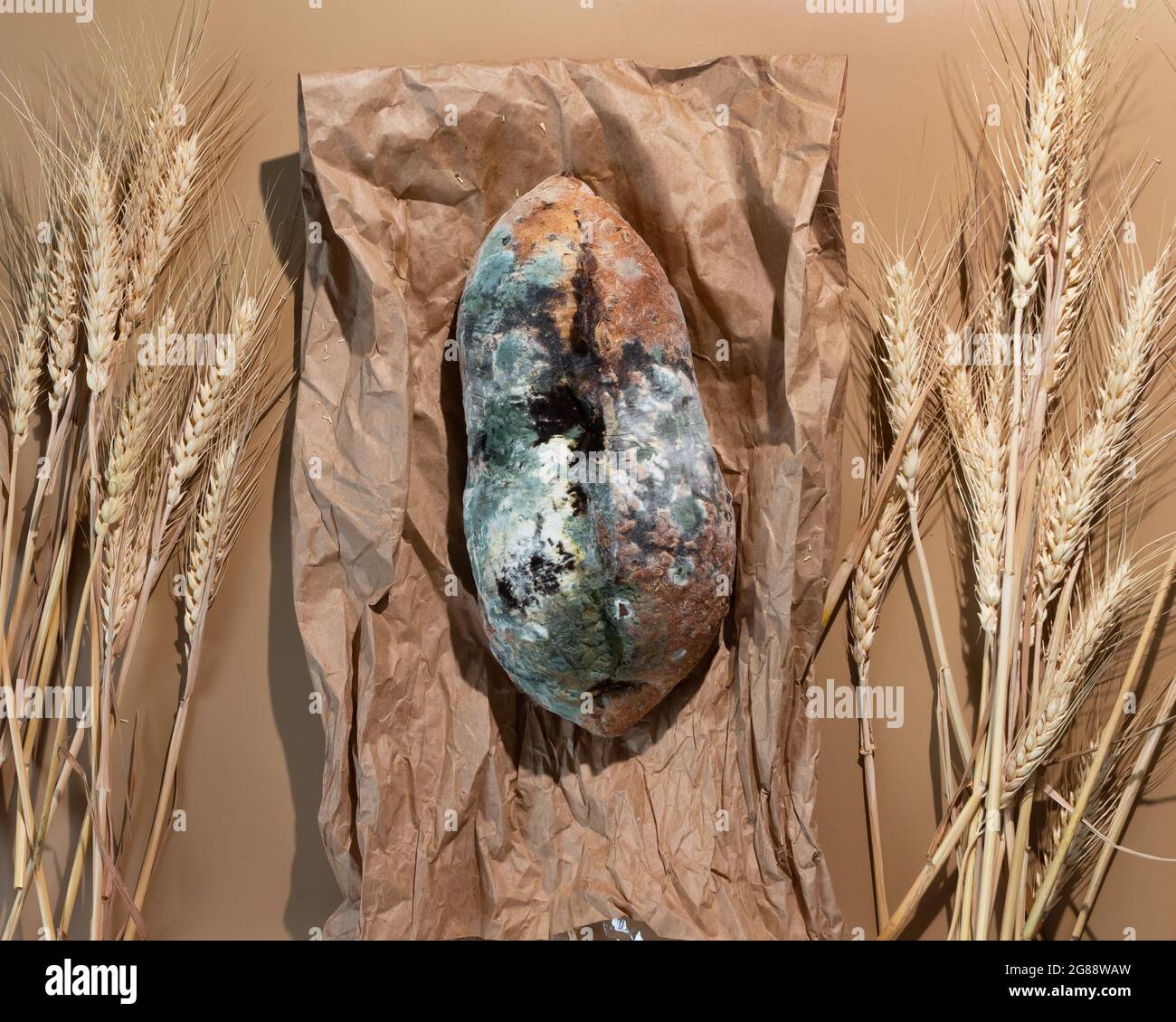 Old inedible ugly moldy hi-res stock photography and images - Alamy