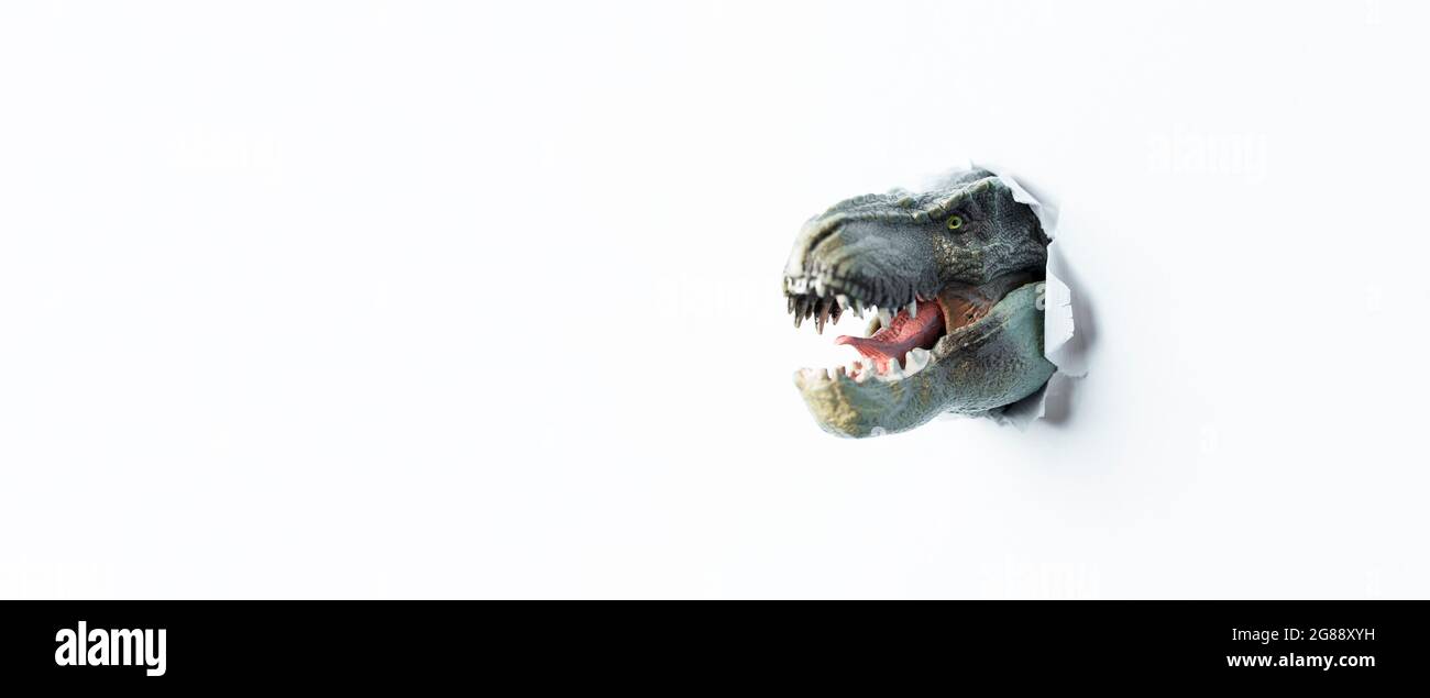 T Rex Dinosaur monstrous animal with sharp teeth breaking through the ...