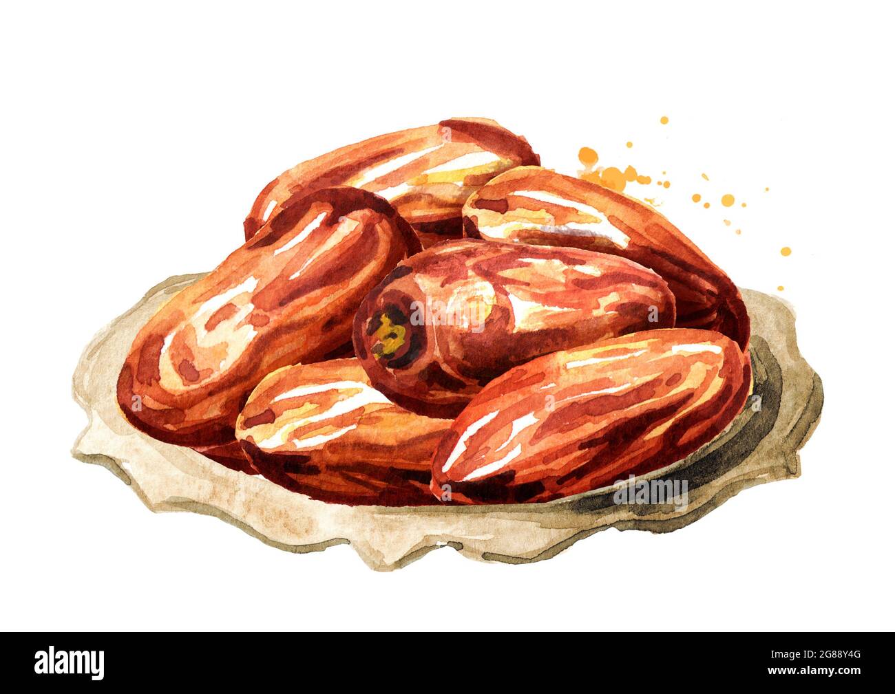 Dried Date fruits on the plate. Watercolor hand drawn illustration ...