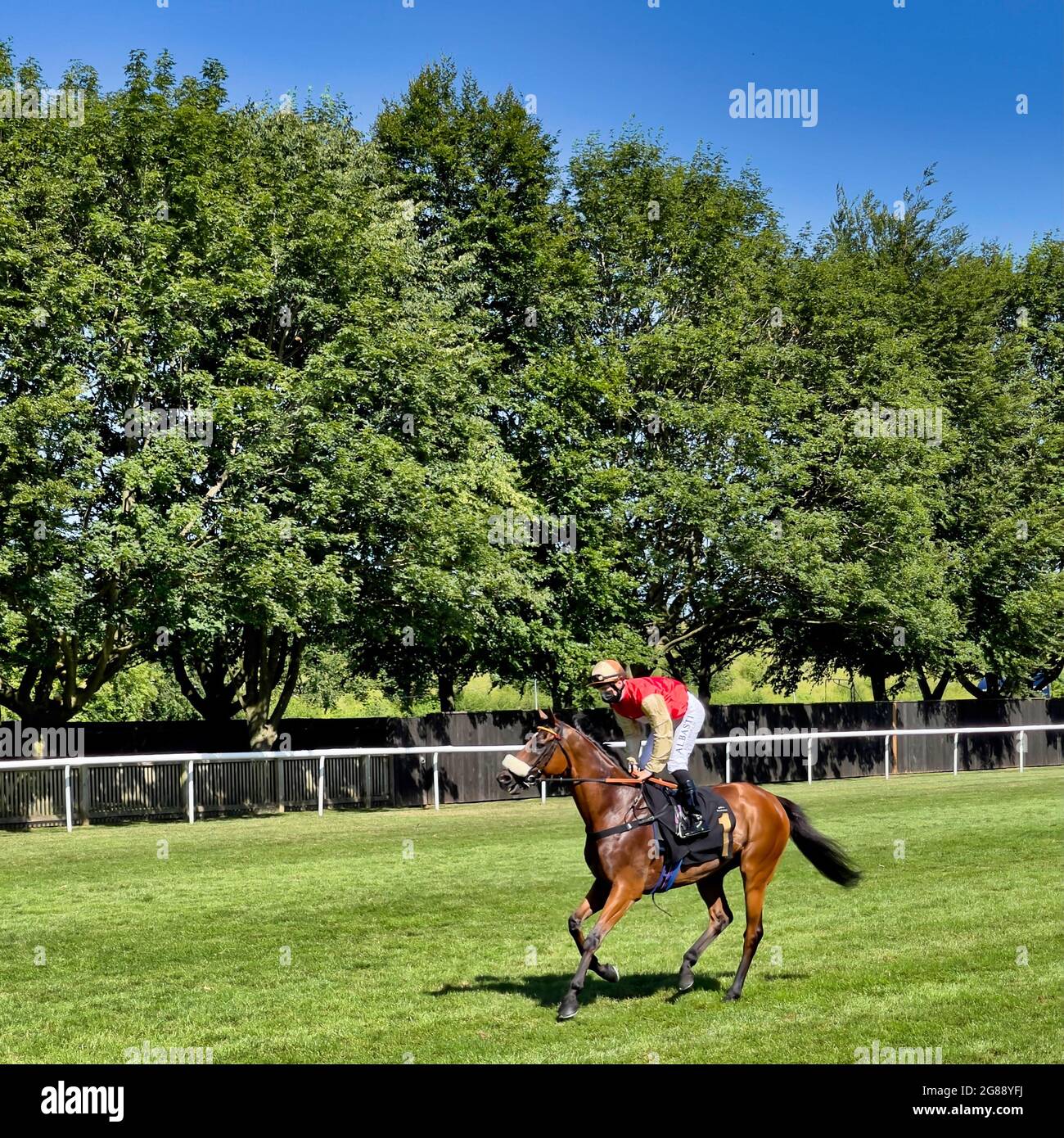 Newmarket horse racing hi-res stock photography and images - Alamy