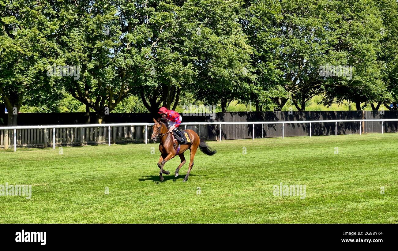 Newmarket racing hi-res stock photography and images - Alamy