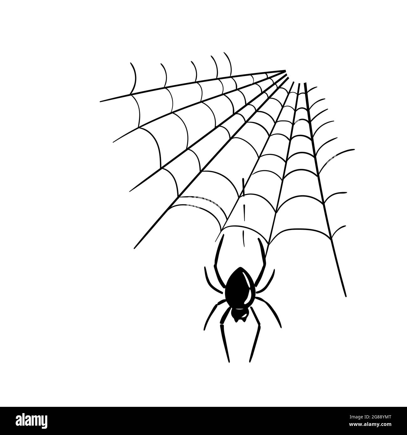 Halloween Spider Drawings How To Draw A Spider Web: Step By Step