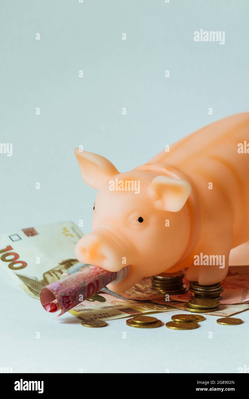 A toy in the shape of a pink pig holds a bill in its mouth and stands ...