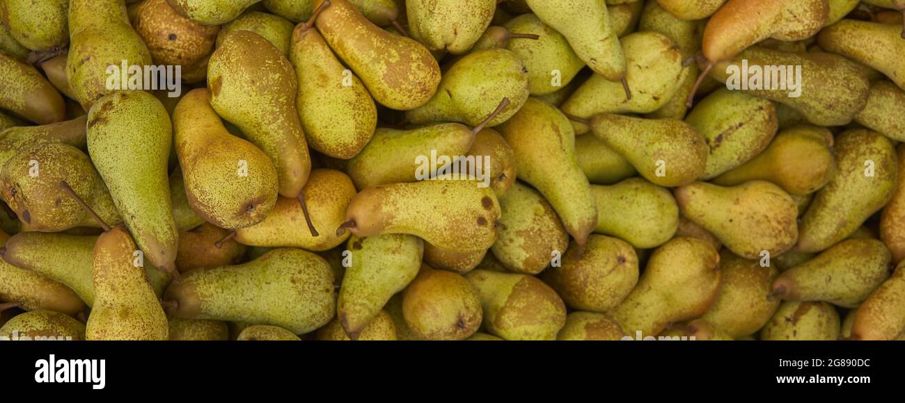 Pear texture detail, banner image with copy space Stock Photo - Alamy