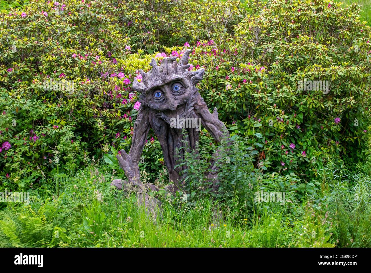 A tree in a creepy old man form with blue eyes in the grassy garden ...