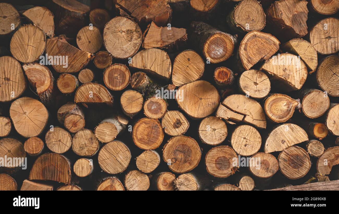 stack of firewood in golden evening sunset. Firewood for stoves ...