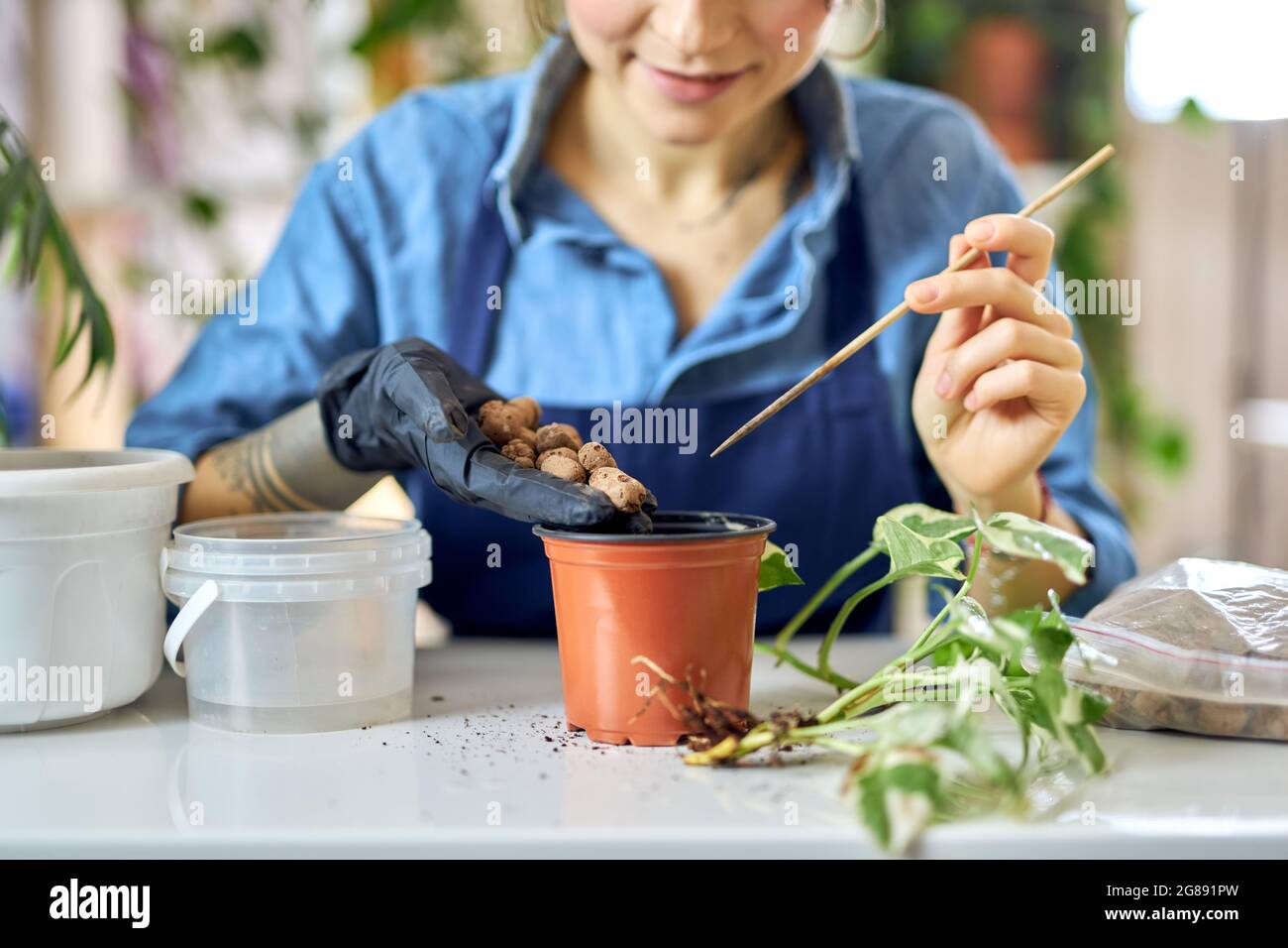 Gardening woman pouring water flowers hi-res stock photography and ...