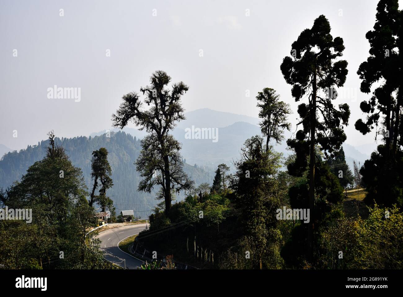 Ariel view , Landscape with tree, ridges and curvy road highway Stock ...