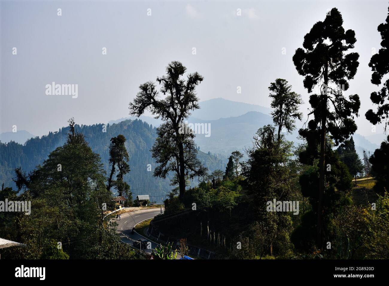 Ariel view , Landscape with tree, ridges and curvy road highway Stock ...
