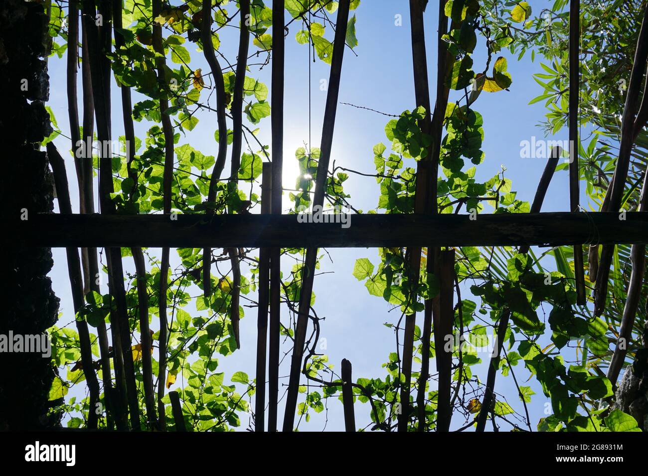 Bright Day 1 Stock Photo - Alamy